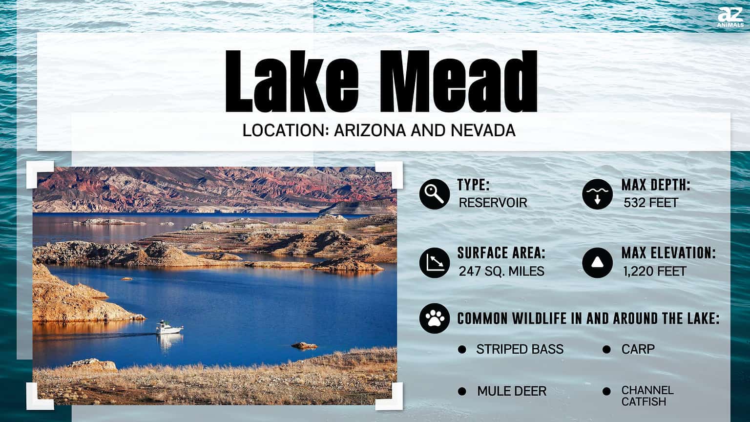 How Deep Is Lake Mead? - A-Z Animals