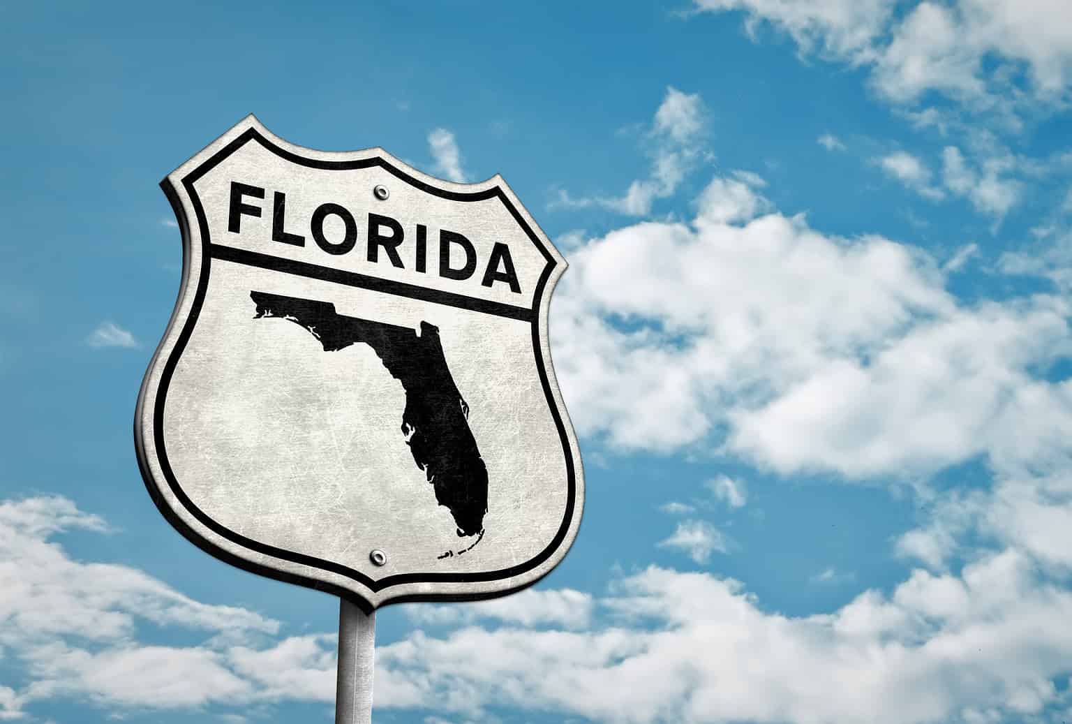 10 Notable Facts About Florida Panthers - A-Z Animals