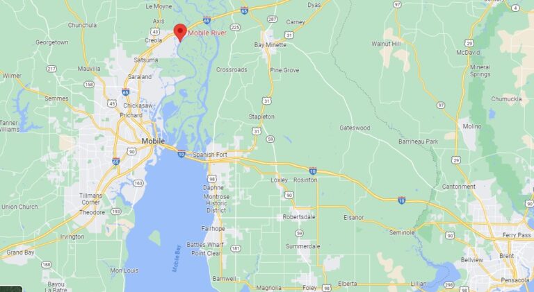 The Longest Beach in Alabama Is 14 Miles of Paradise - A-Z Animals
