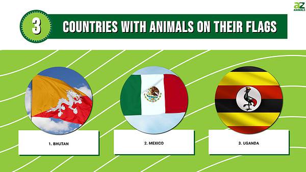 3 Countries With Animals on Their Flags, and Their Meaning - A-Z Animals