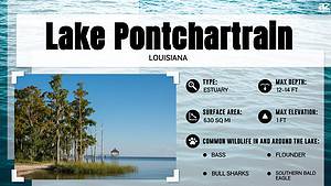 Lake Pontchartrain Fishing, Size, Depth, And More - A-Z Animals