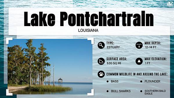 Lake Pontchartrain Fishing, Size, Depth, And More - A-Z Animals