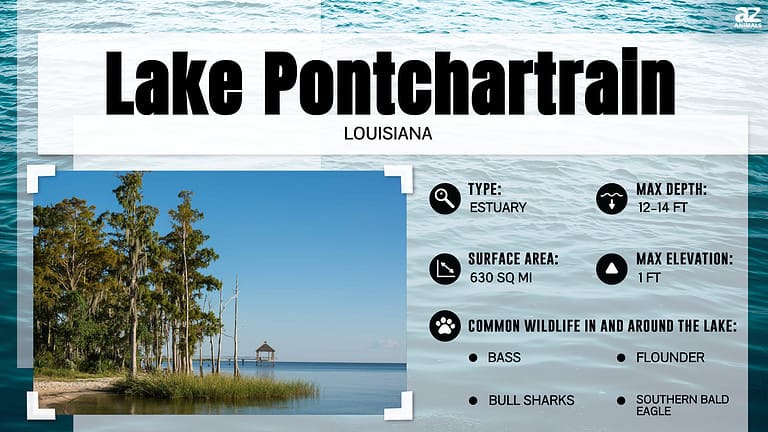 Lake Pontchartrain Fishing, Size, Depth, And More - A-Z Animals