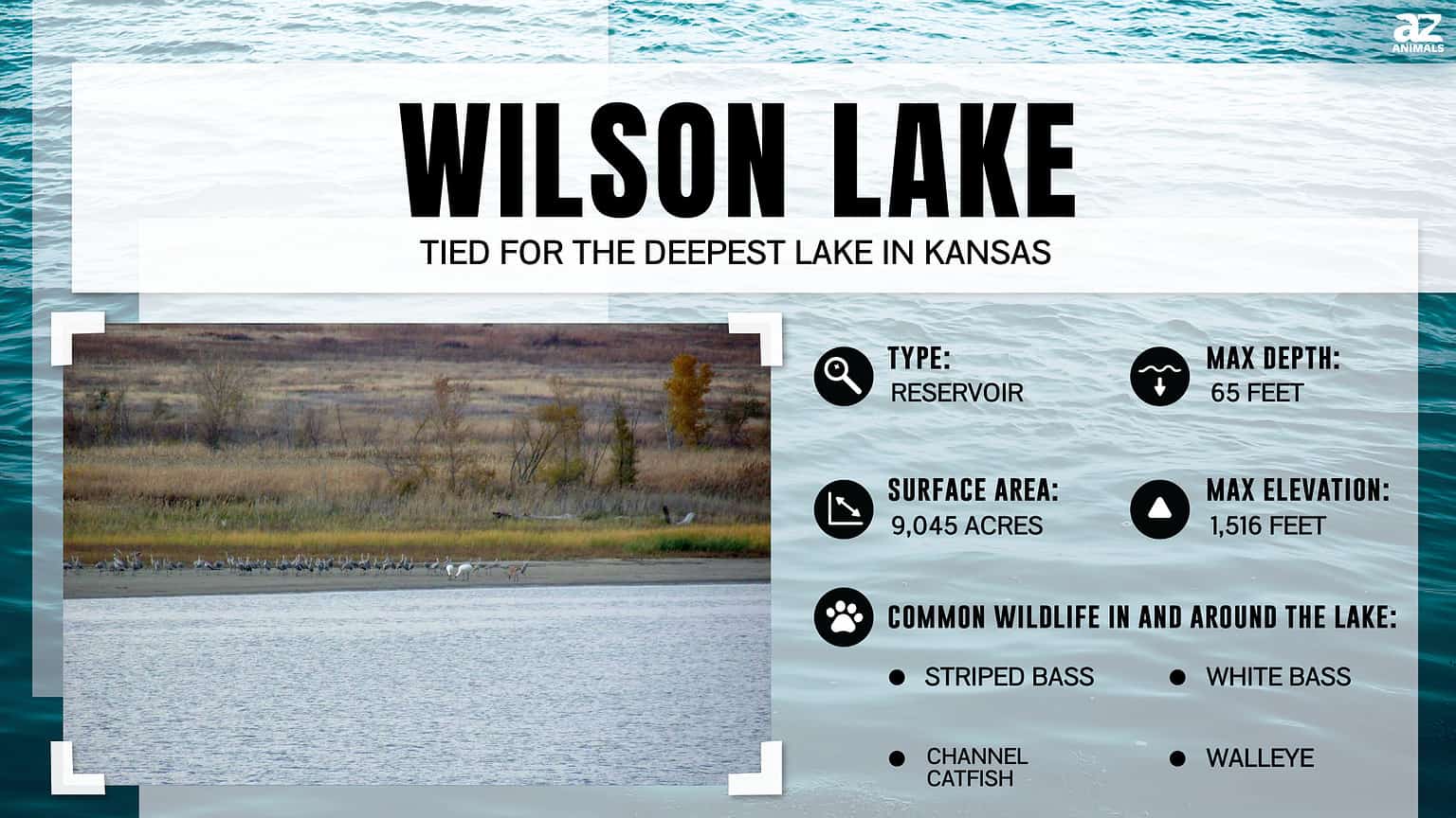 Discover the Deepest Lake in Kansas - A-Z Animals