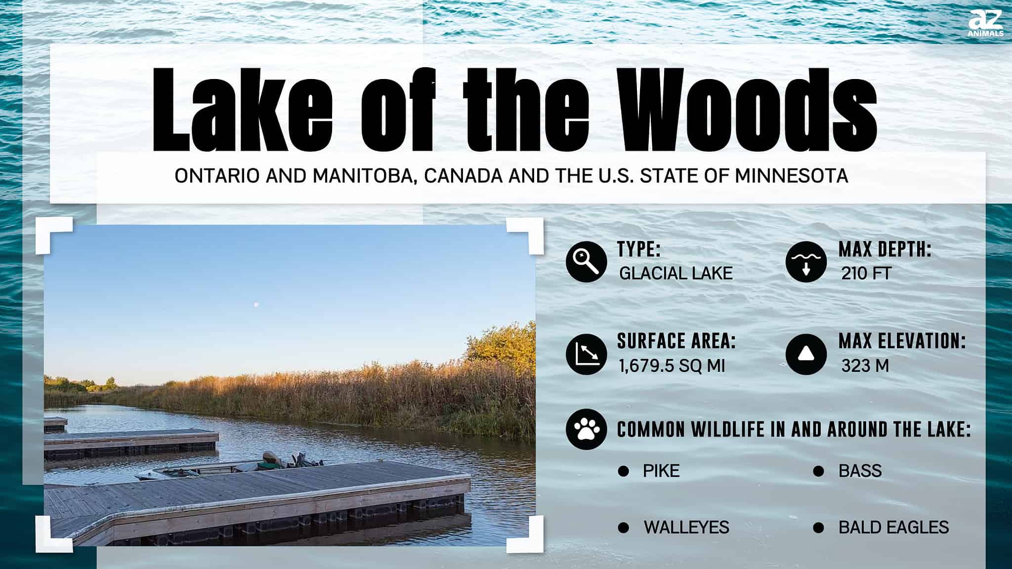 Lake of the Woods: Fishing, Size, Depth, and More - A-Z Animals