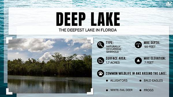 Discover the Deepest Lake in Florida - A-Z Animals