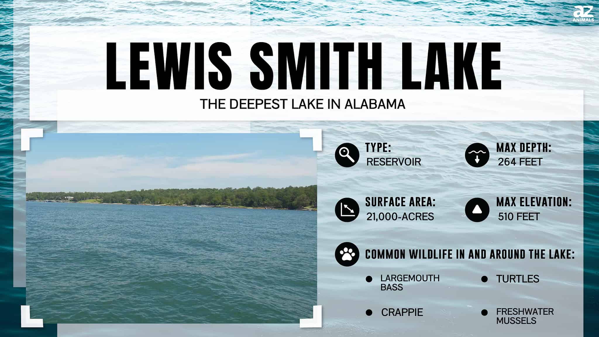 Discover the Deepest Lake in Alabama - A-Z Animals