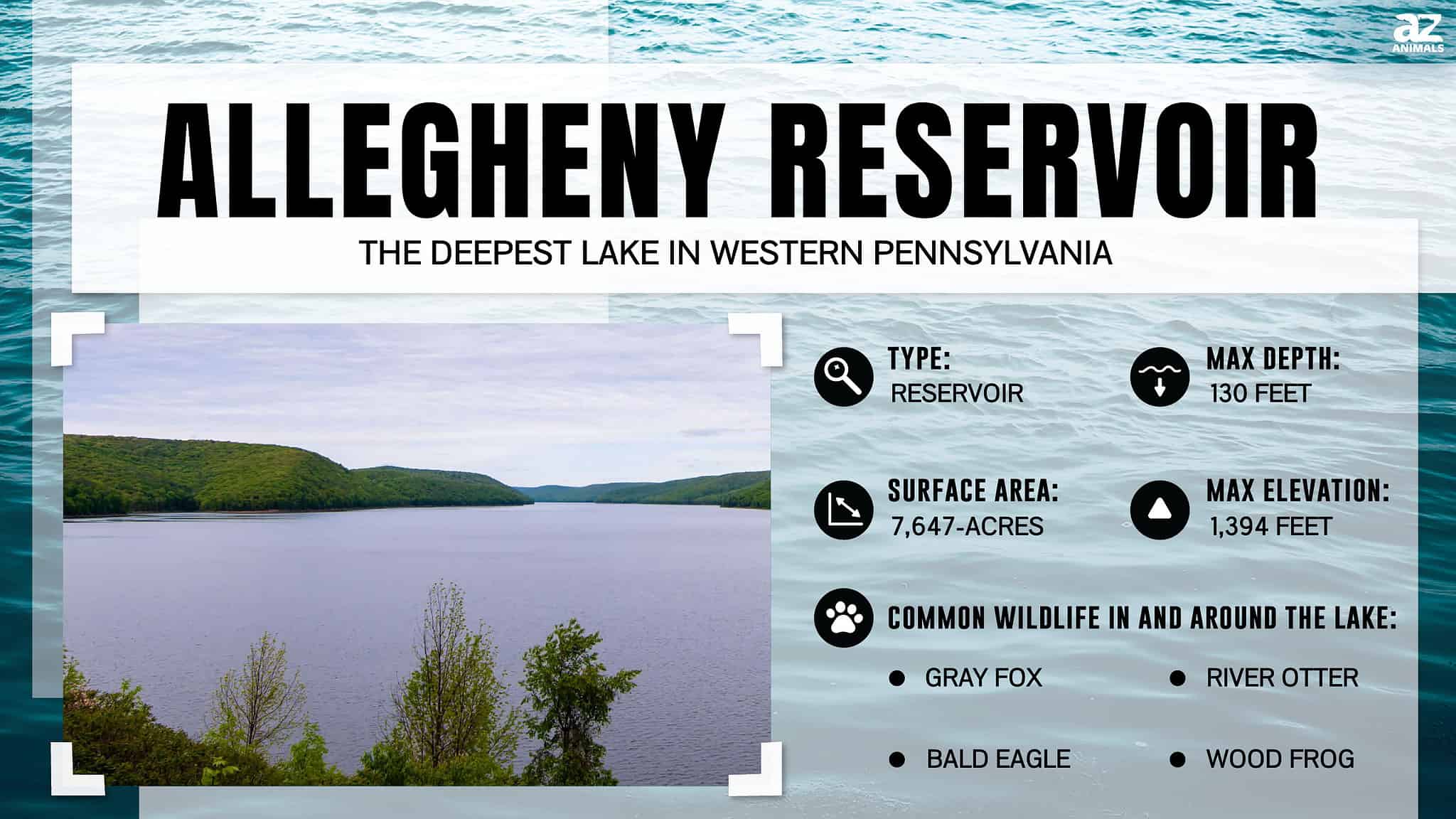 Discover the Deepest Lake in Western Pennsylvania - A-Z Animals