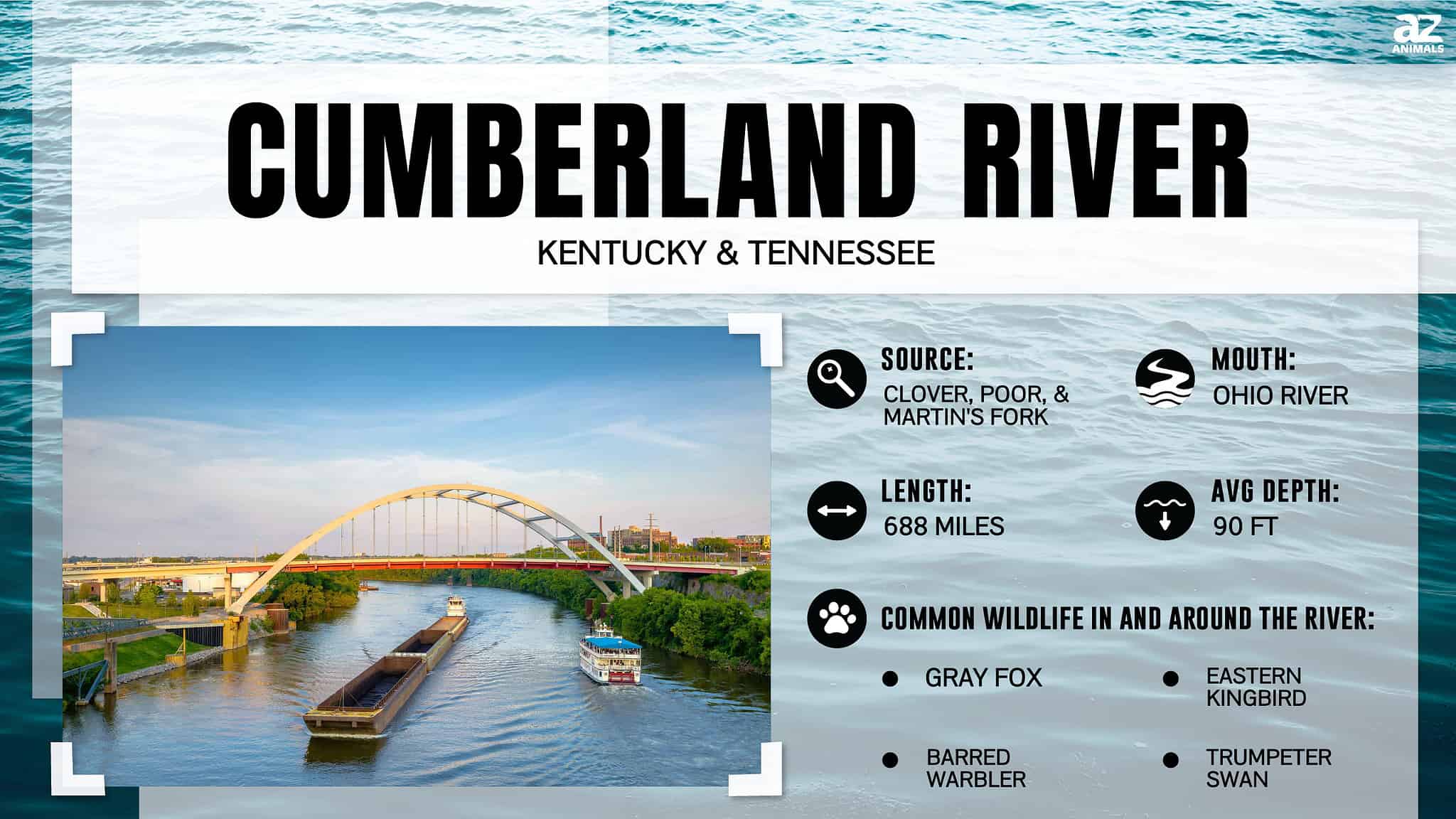 How Wide Is the Cumberland River at Its Widest Point? - A-Z Animals