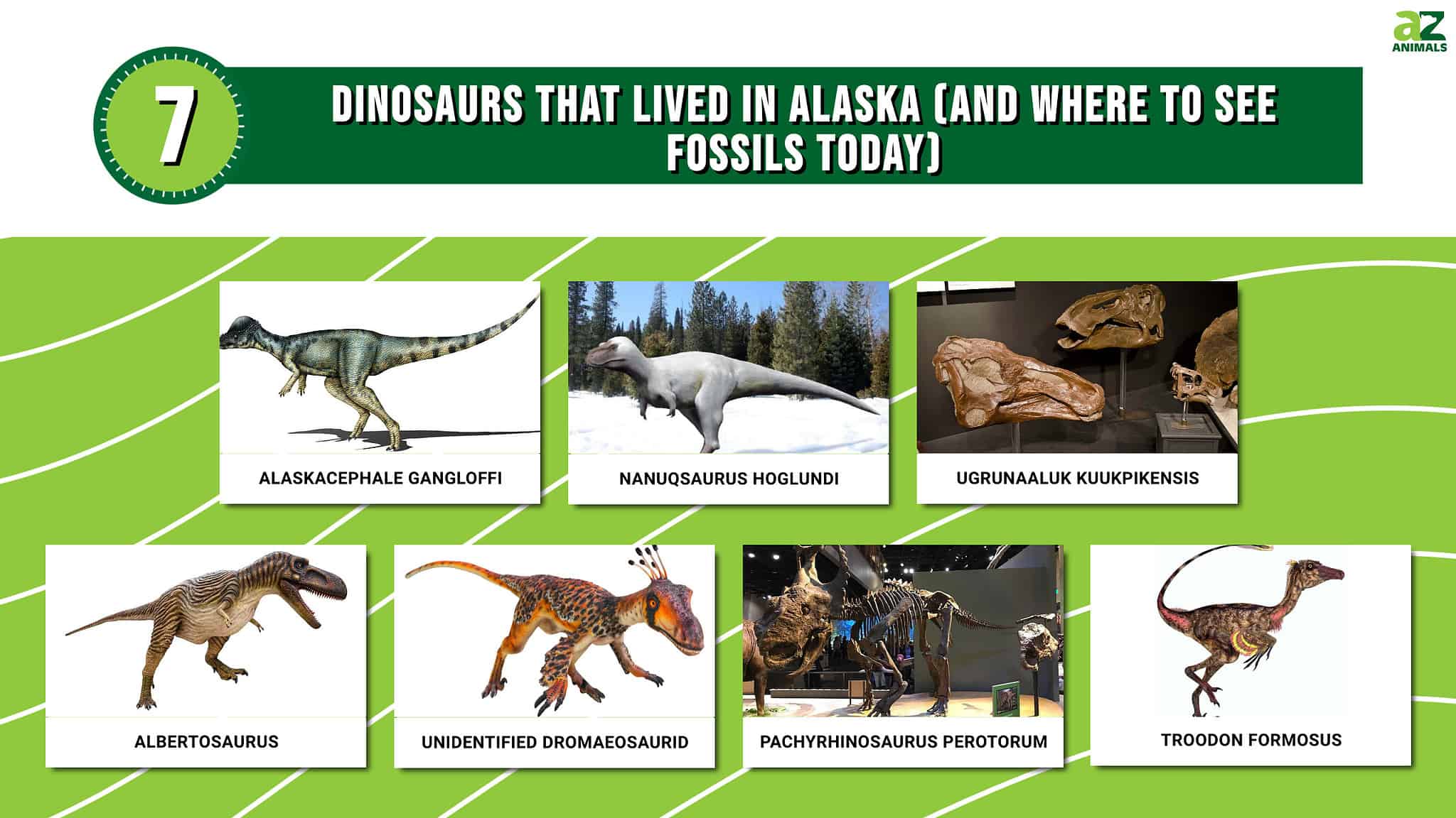7 Dinosaurs That Lived in Alaska (And Where to See Fossils Today) - A-Z ...