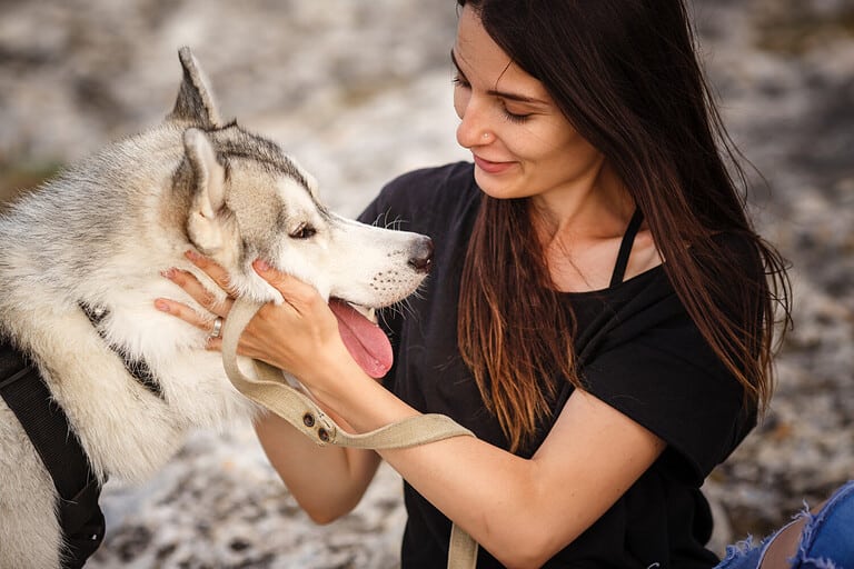 25 Reasons To Get A Dog (And How They Make Your Life Better) - A-Z Animals