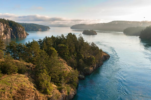 The Top 14 Best Places to See Orcas in Washington State - A-Z Animals