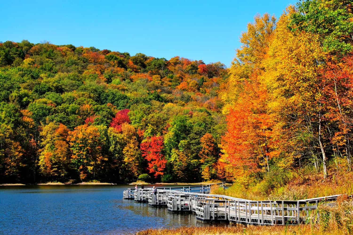 How Big Is West Virginia See Its Size In Miles Acres And How It