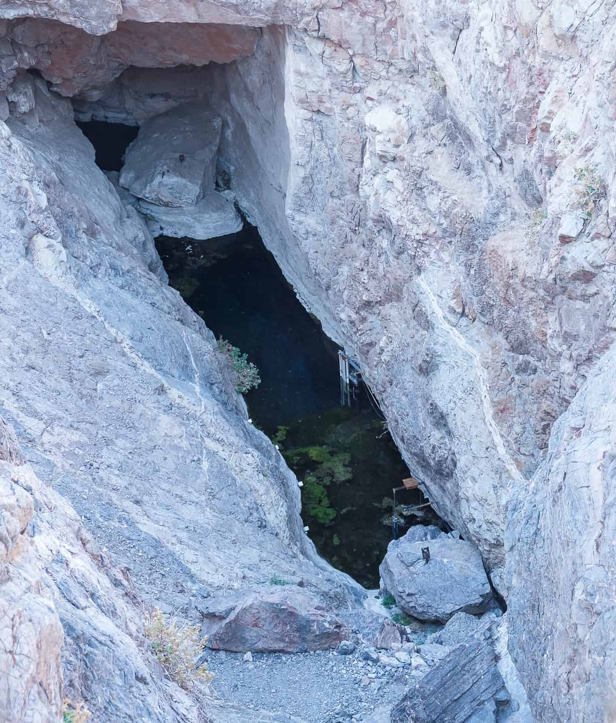 The Rarest Fish in U.S. Waters Can Only Be Found in an Isolated Cave in ...