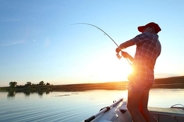 Discover the Massive Catfish That Grows to 10-Feet Long and 400 Pounds ...