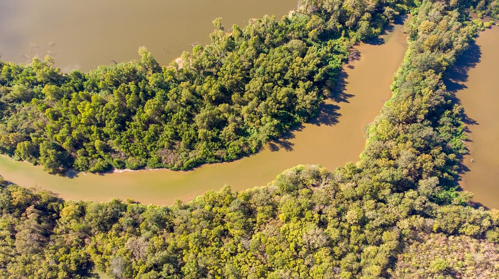 The 6 Most Snake-Infested Rivers in Louisiana - A-Z Animals