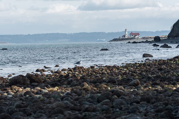 The 10 Best Beaches in Washington - A-Z Animals