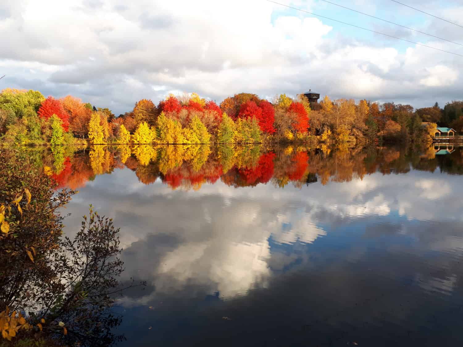 Discover the 5 Most Polluted Rivers in Canada