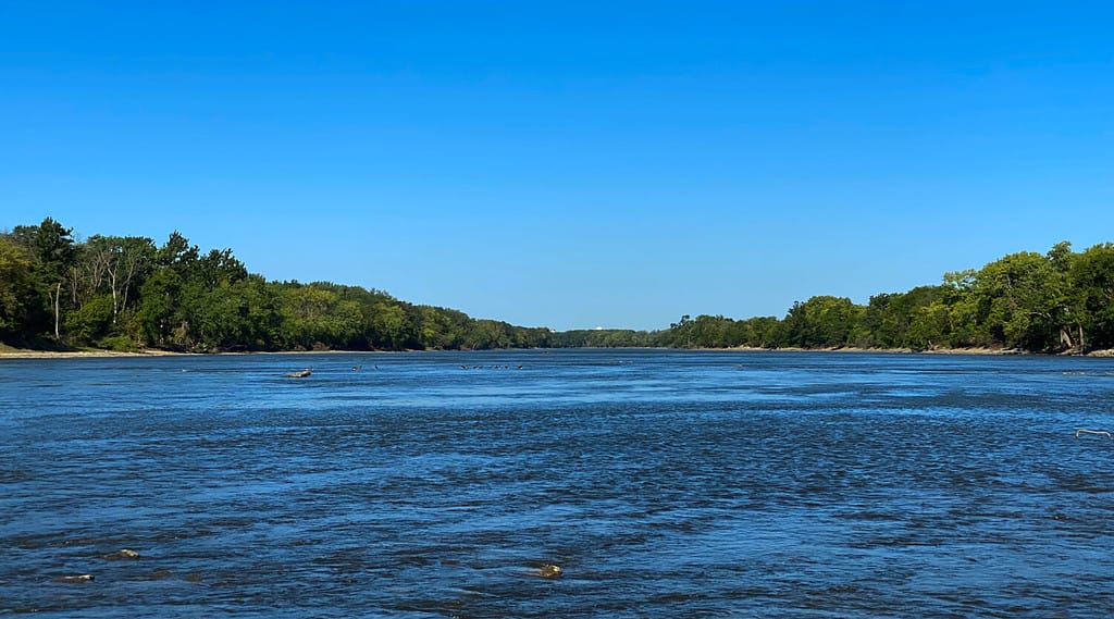 What's in the Illinois River and Is It Safe to Swim In? - A-Z Animals
