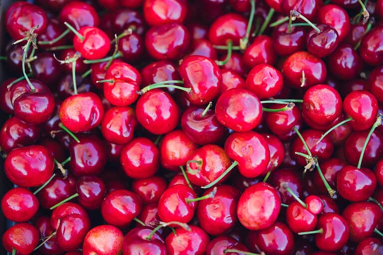 The 6 U.S. States That Grow the Most Cherries - A-Z Animals