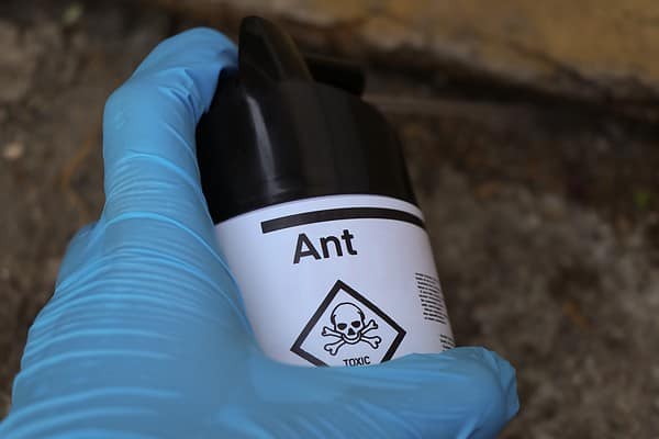 The 11 Most Effective Ways to Get Rid of Ants in Your Yard