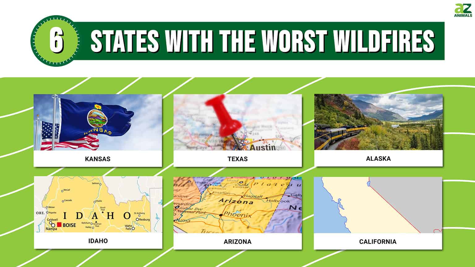 The States With the Worst Wildfires — and Why - A-Z Animals