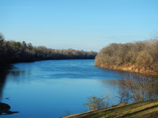 What's in the Alabama River and Is It Safe to Swim In? - A-Z Animals