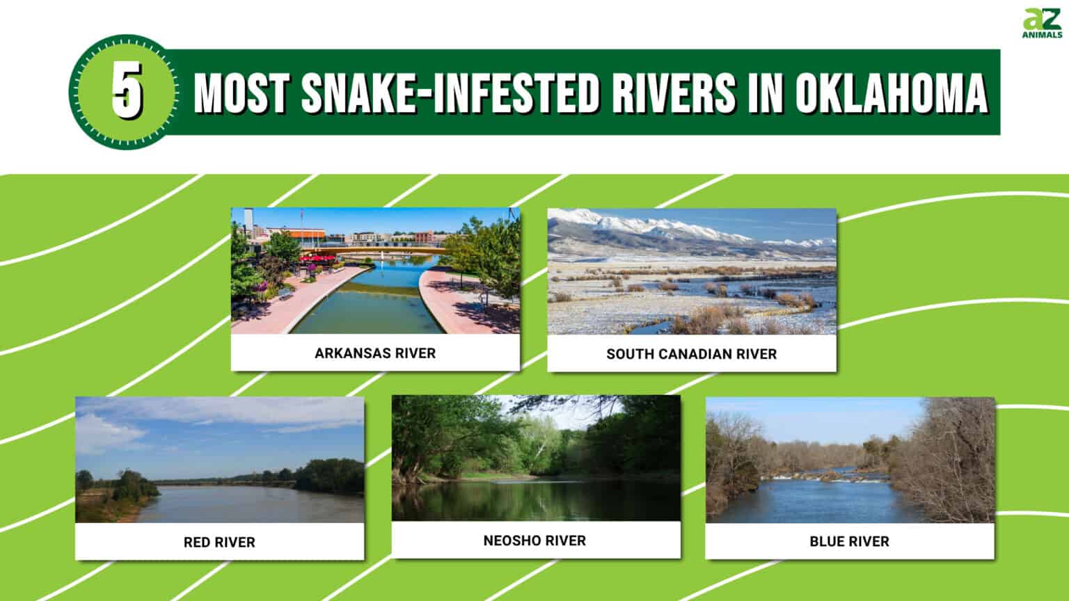 The Most Snake-Infested Rivers in Oklahoma - A-Z Animals
