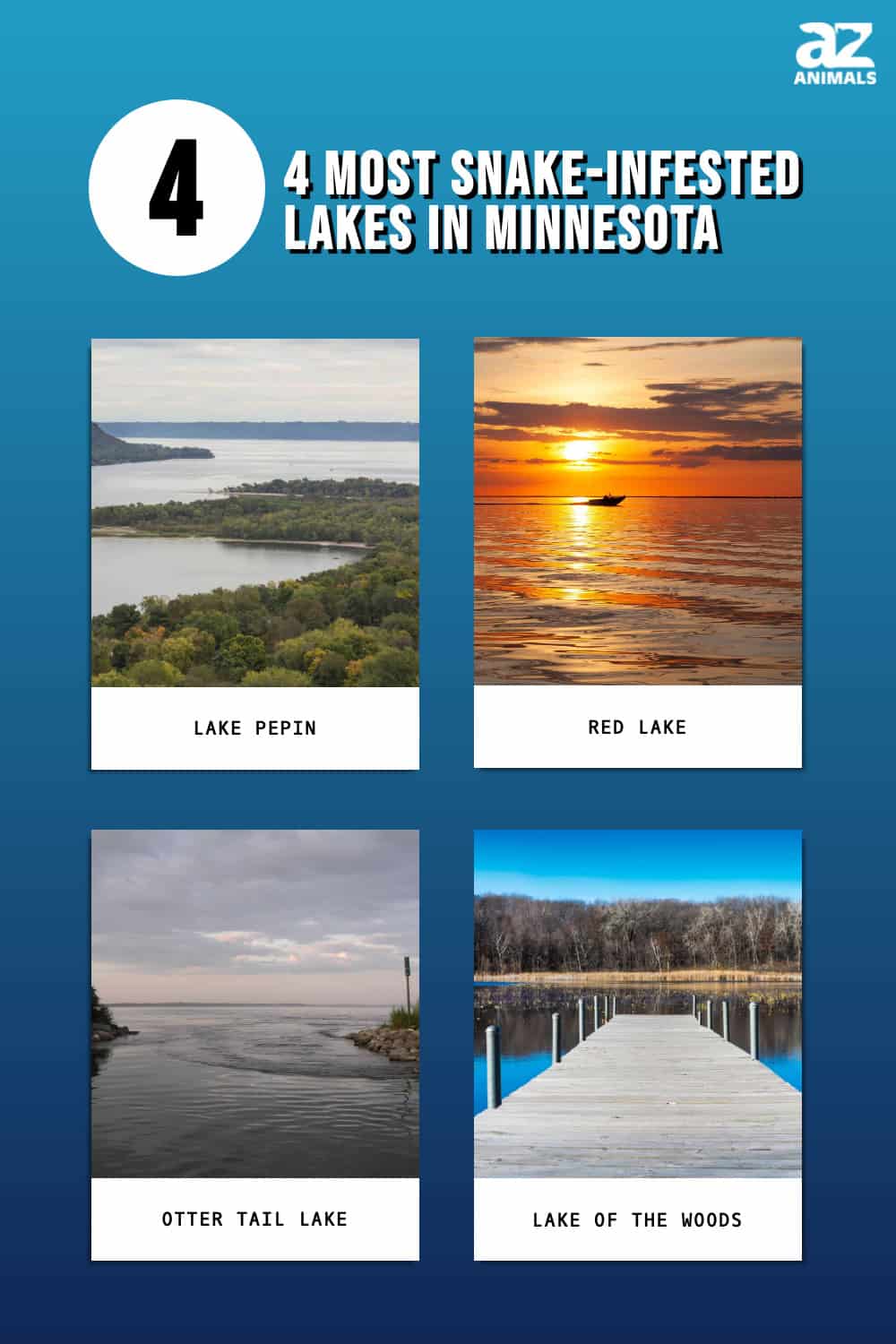 The Most Snake-Infested Lakes in Minnesota - A-Z Animals