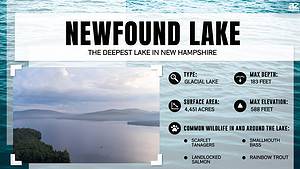 Discover The Deepest Lake In New Hampshire - A-Z Animals