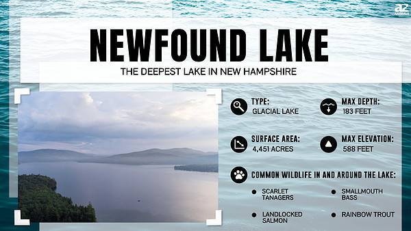 Discover The Deepest Lake In New Hampshire - A-Z Animals