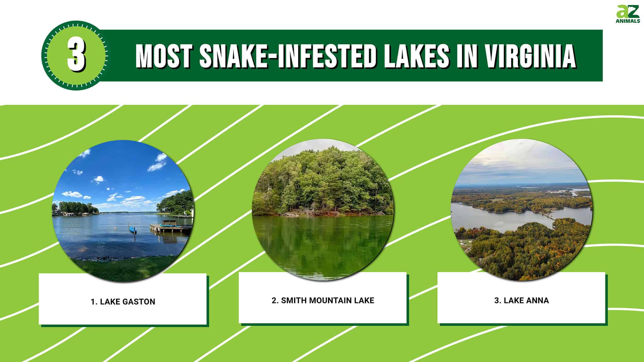 The Most Snake-Infested Lakes in Virginia - A-Z Animals
