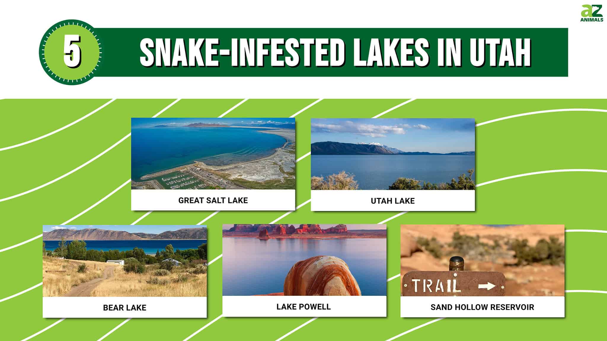 The Most Snake-Infested Lakes in Utah - A-Z Animals