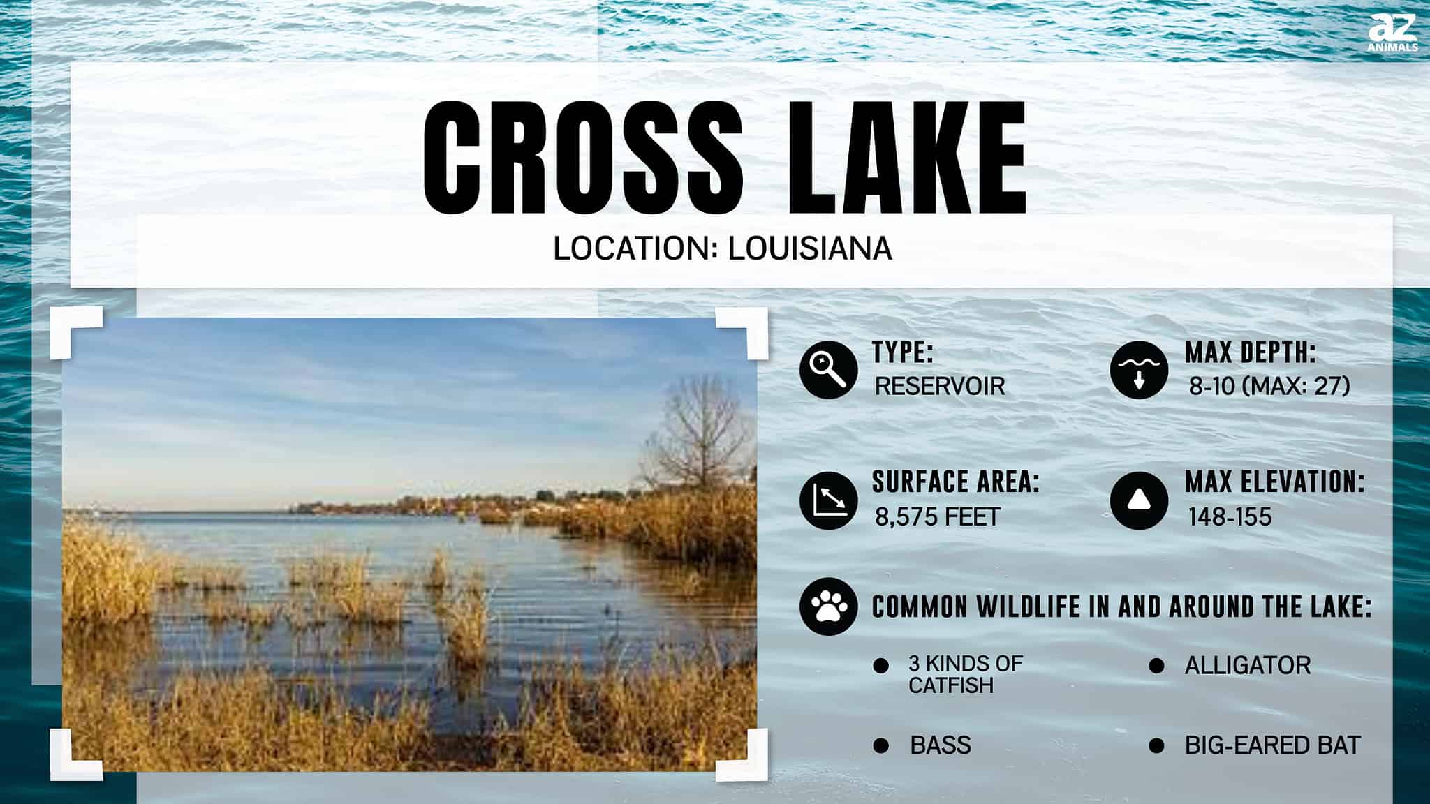 Discover the Oldest Artificial Lake in Louisiana - A-Z Animals