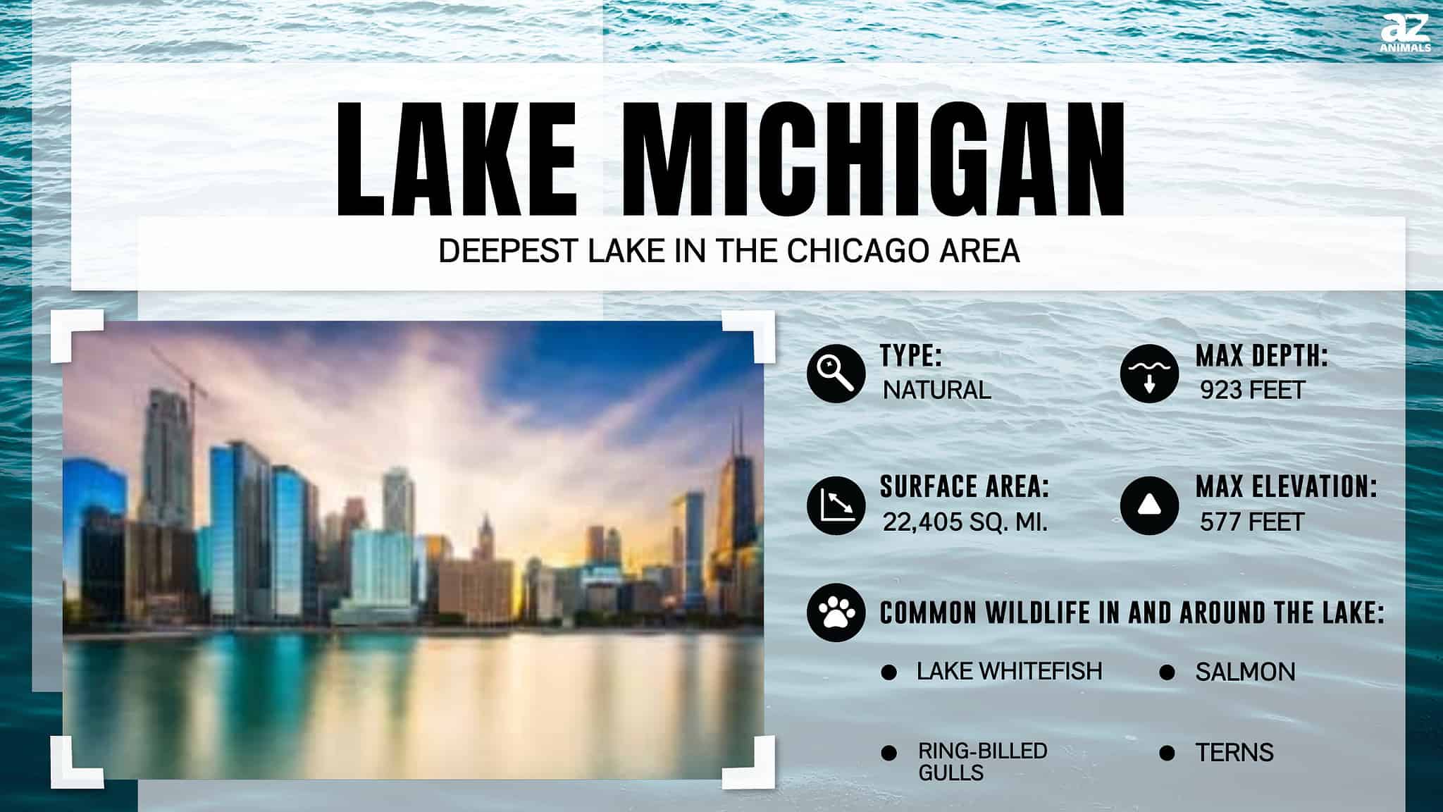Discover the Deepest Lake in the Chicago Area - A-Z Animals