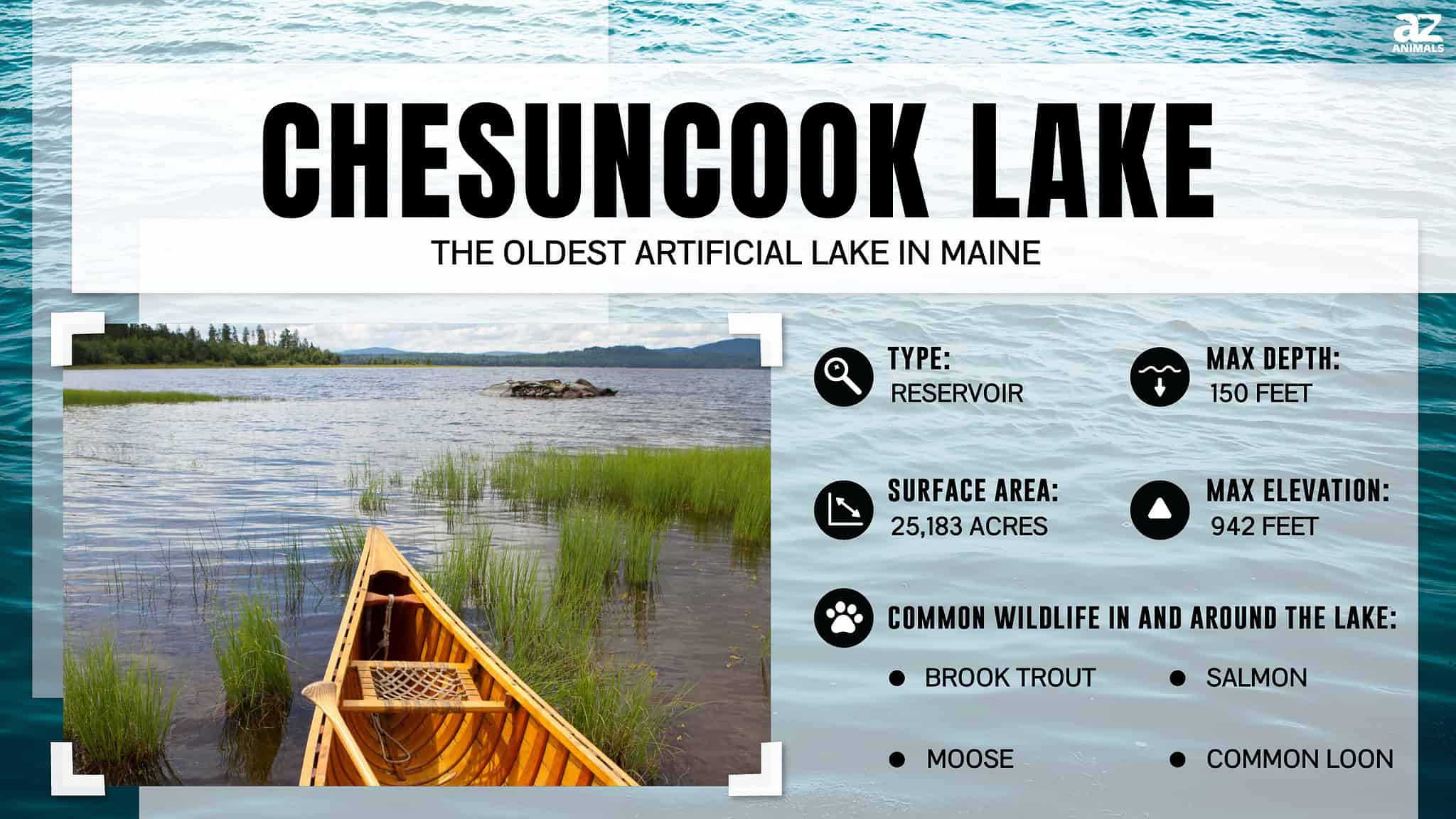 Discover the Oldest Artificial Lake in Maine - A-Z Animals