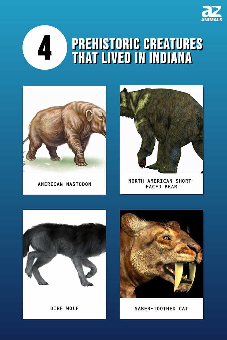 Dinosaurs That Lived in Indiana (And Where to See Fossils Today) - A-Z ...