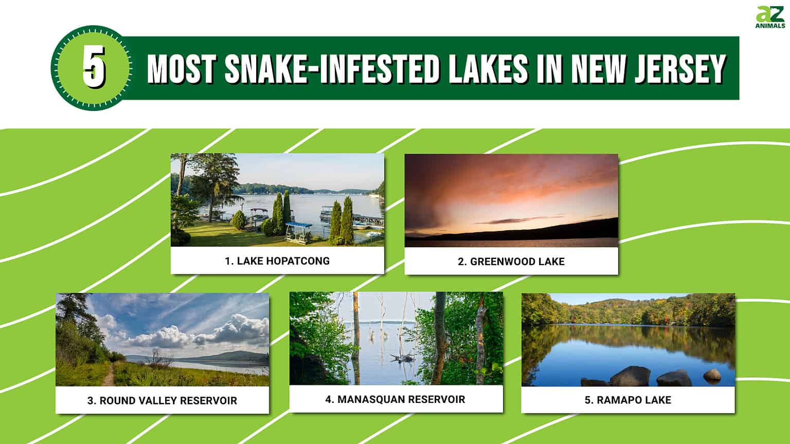 The Most Snake-Infested Lakes in New Jersey - A-Z Animals