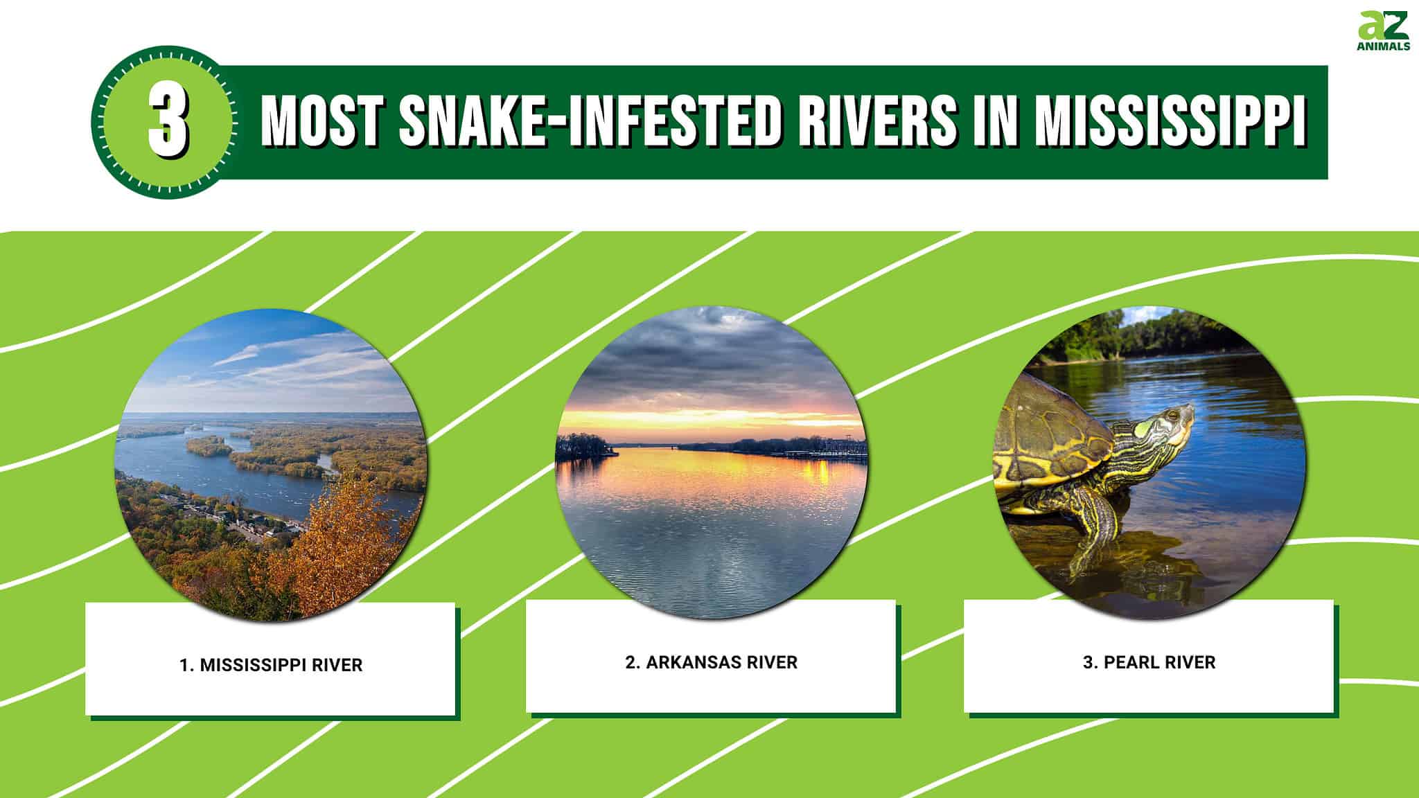 The Most Snake-Infested Rivers in Mississippi - A-Z Animals