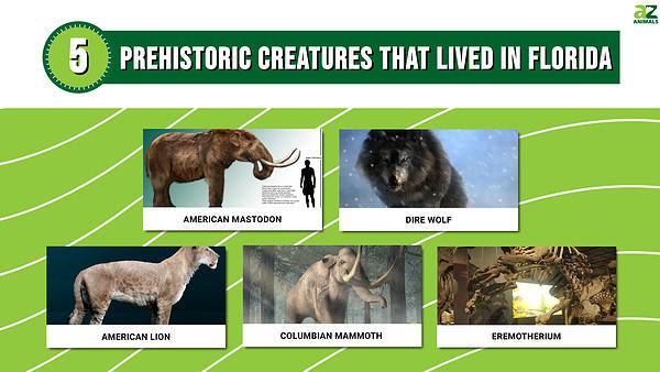 Dinosaurs that Lived in Florida (And Where to See Fossils Today) - A-Z ...
