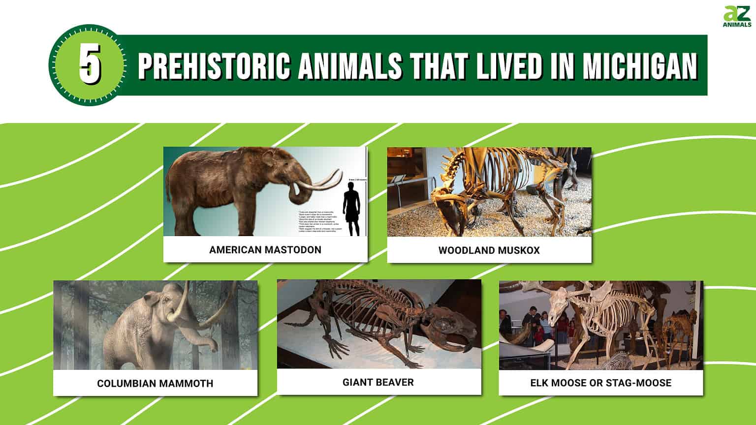 Dinosaurs that Lived in Michigan (And Where to See Fossils Today) - A-Z ...