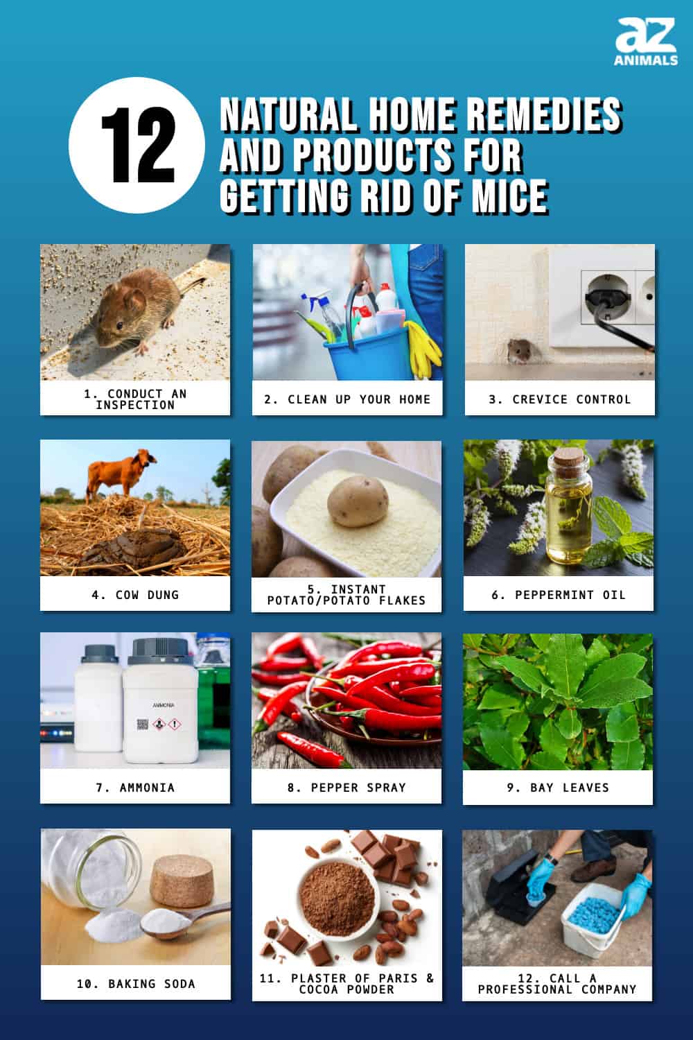 12 Natural Home Remedies and Products For Getting Rid of Mice - A-Z Animals