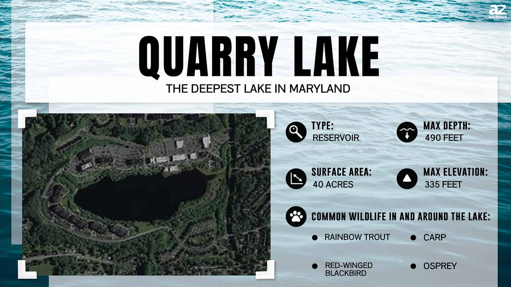 Discover the Deepest Lake in Maryland - A-Z Animals