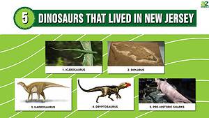 5 Dinosaurs That Lived in New Jersey (And Where to See Fossils Today ...