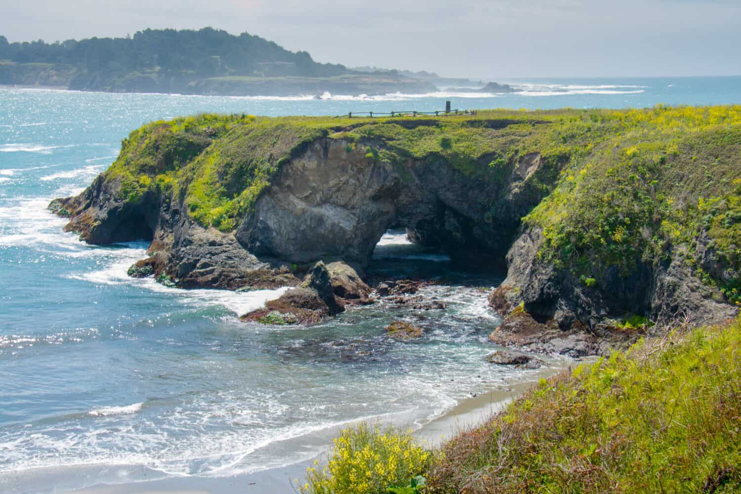 The 16 Best Places to See Towering Redwood Trees in California - A-Z ...