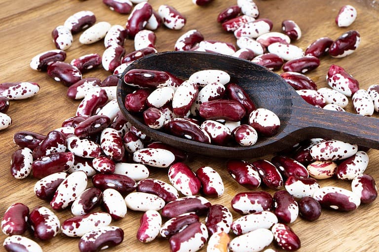 30 Different Types of Beans: Taste Profiles and Best Uses!