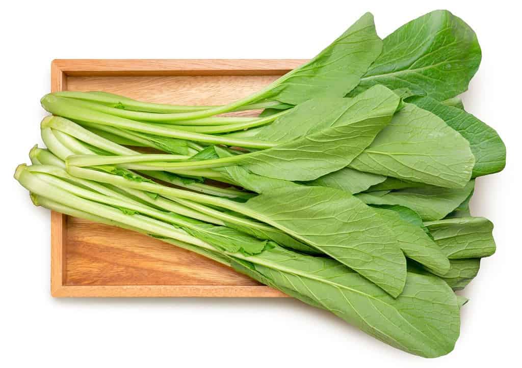 Explore the 12 Vegetables That Start With V - A-Z Animals