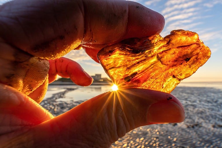 5 Animals and Mythological Creatures Associated With Fire - A-Z Animals