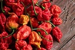 Scoville Scale: How Hot Is Wasabi? - A-Z Animals