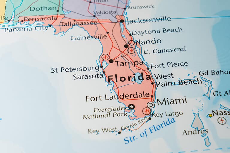 Are There Alligators in Florida's Crystal River? - A-Z Animals